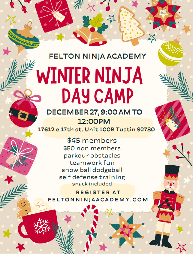 Kicksite::Winter Ninja Day Camp